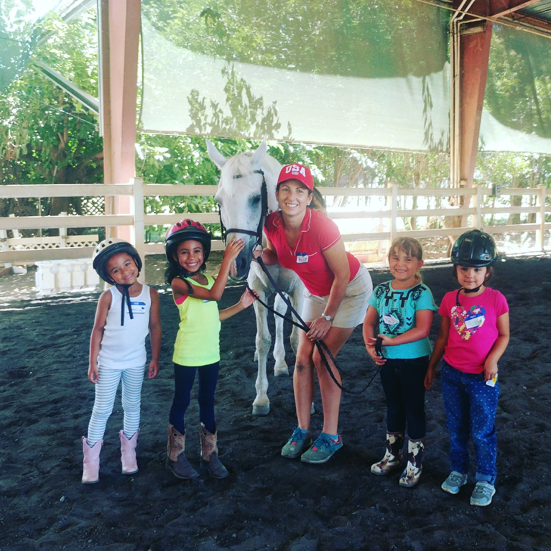 For all ages and levels of riders - Alicia Swinton Equestrian ...